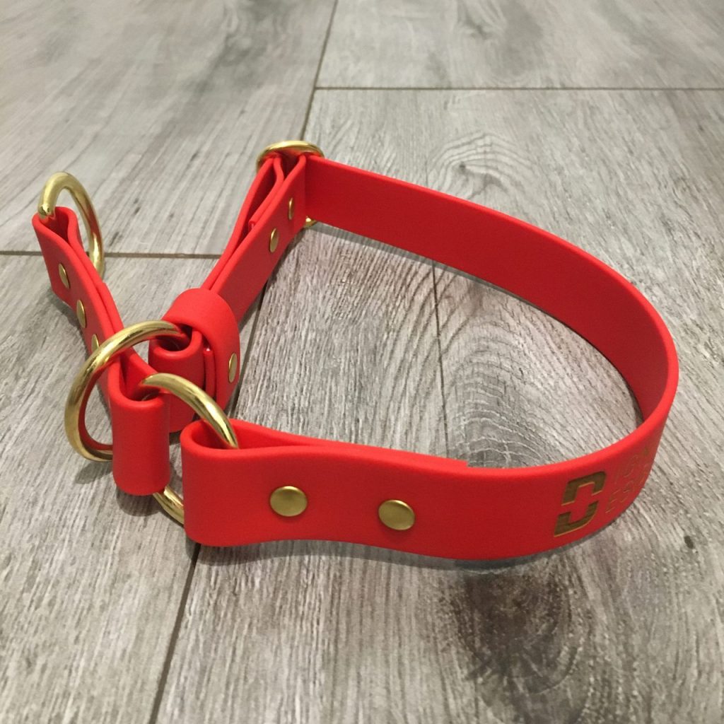 Semi-clamp adjustable dog collar - Dignis Design